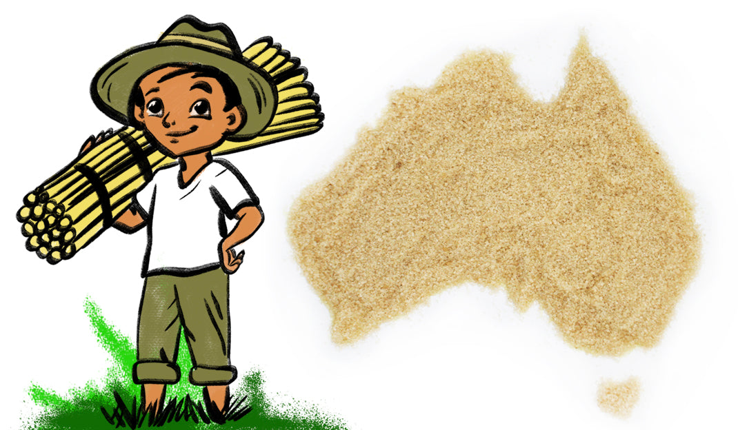 CONTACT US - SUGARLEAN PTY LTD